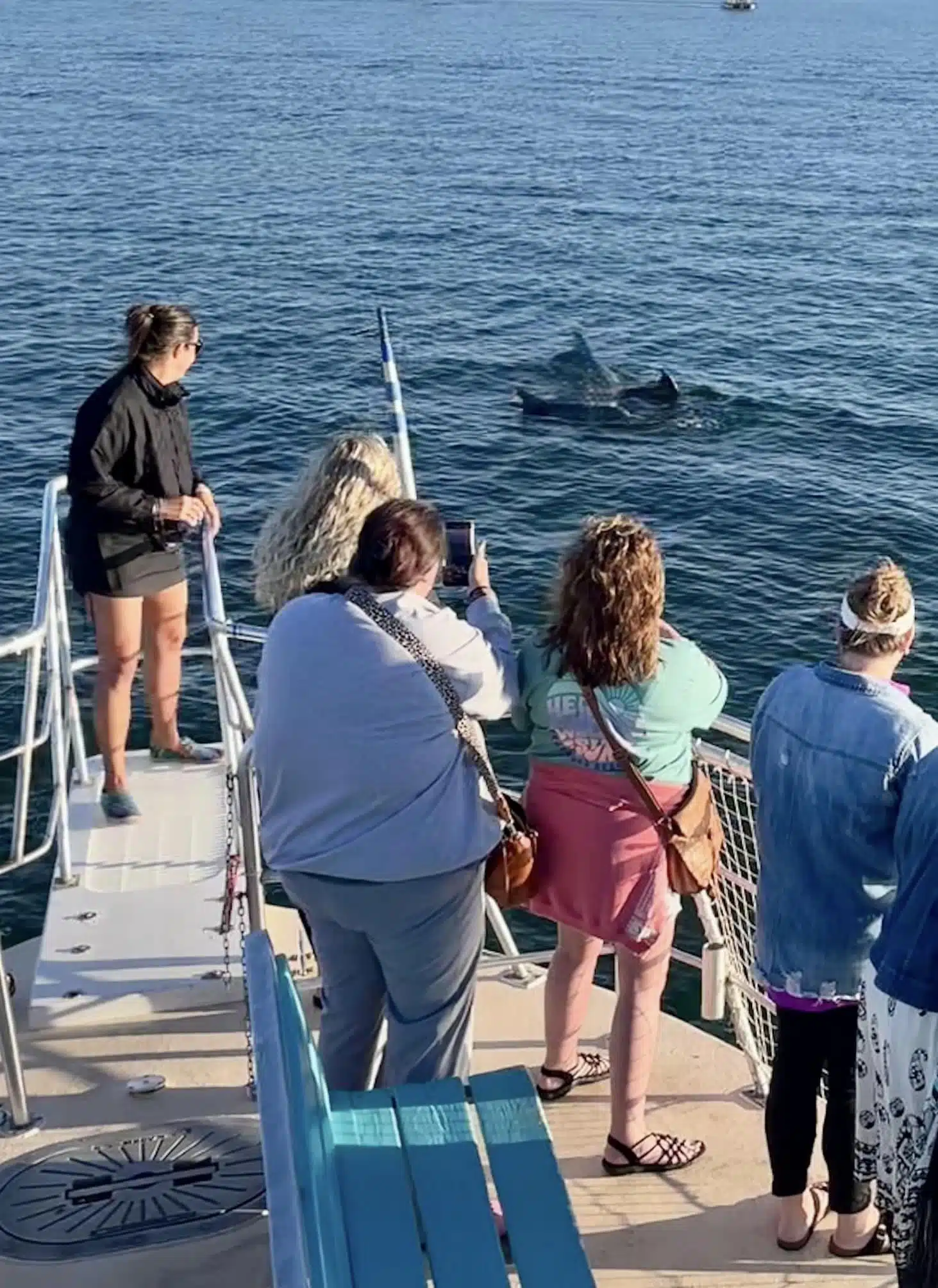 Frisky Mermaid Dolphin Tours & Boat Rentals - PensacolaBeach.com