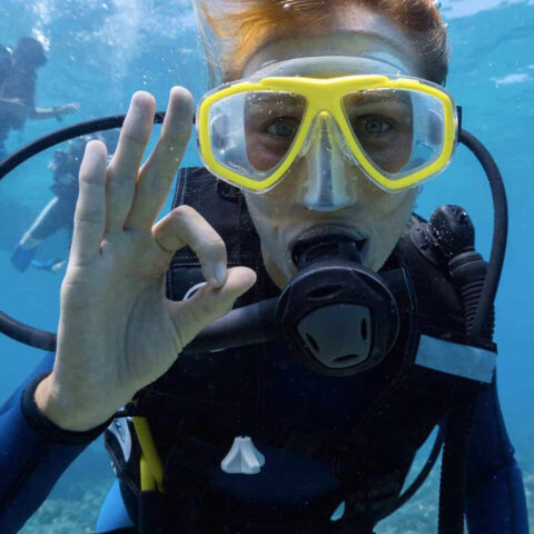 Pensacola Adventures on the Beach | PensacolaBeach.com